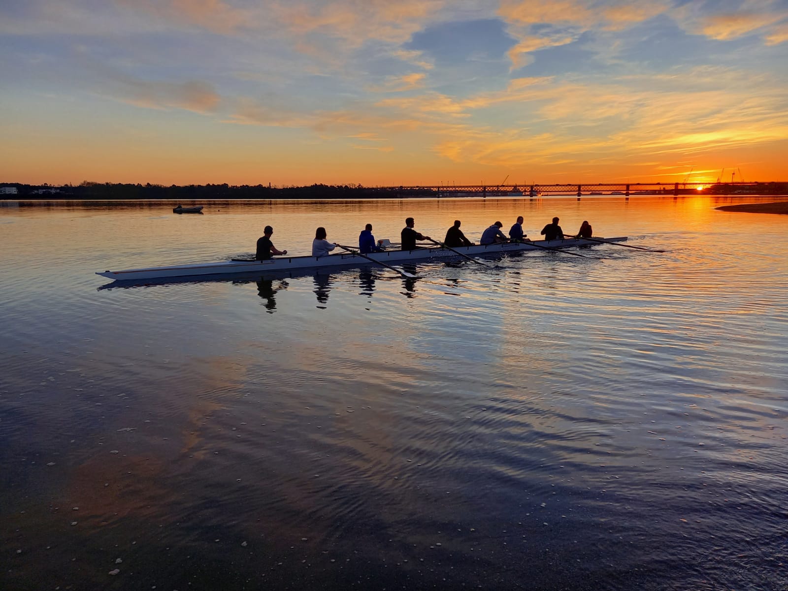 ROSE - Rowing Project Update | Clare Sports